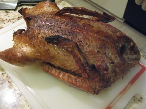 Recipe – Roast Muscovy Duck | willsfamilyacres